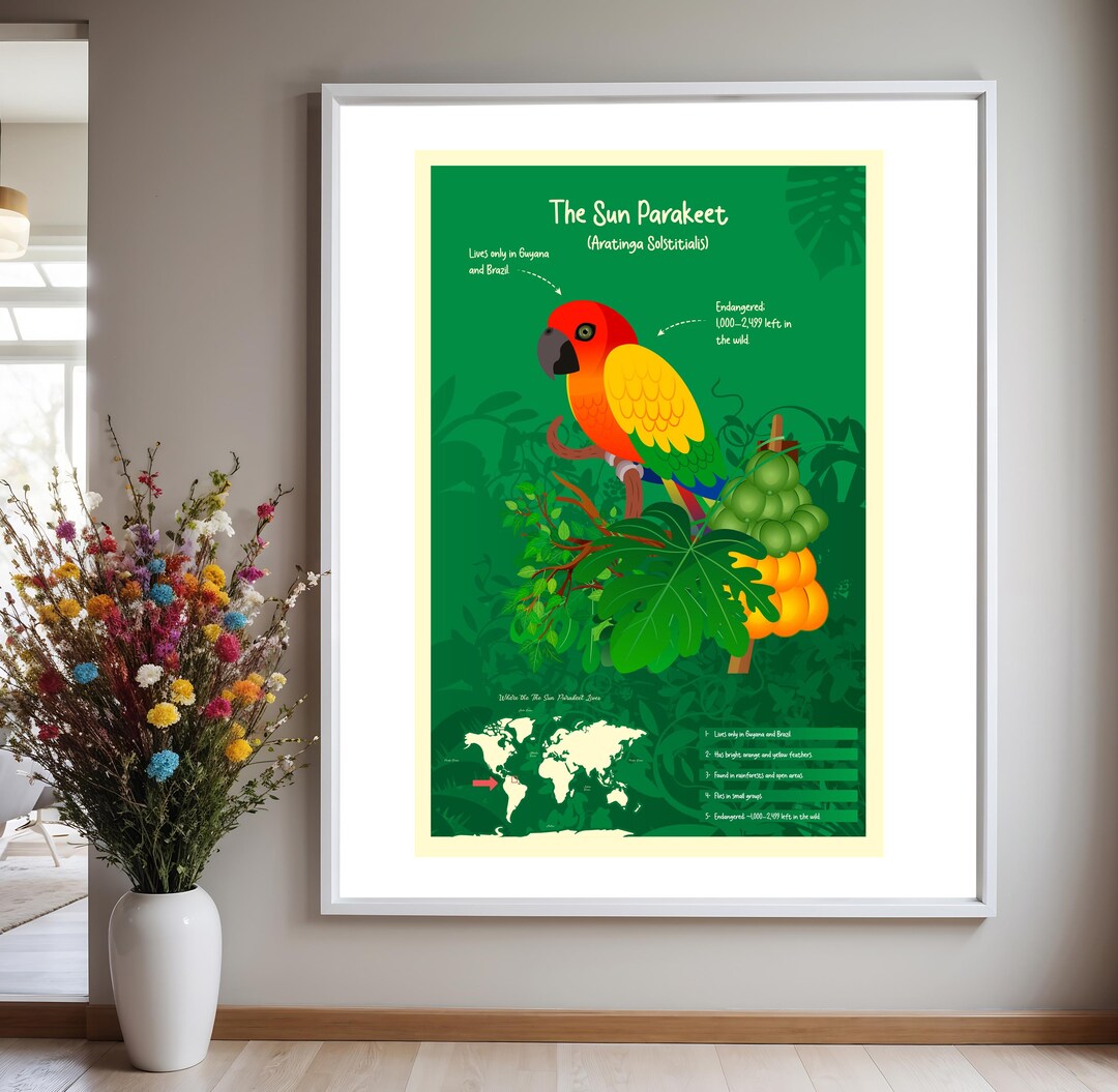 Sun Parakeet Poster: Colorful Tropical Bird (digital Download) - Etsy