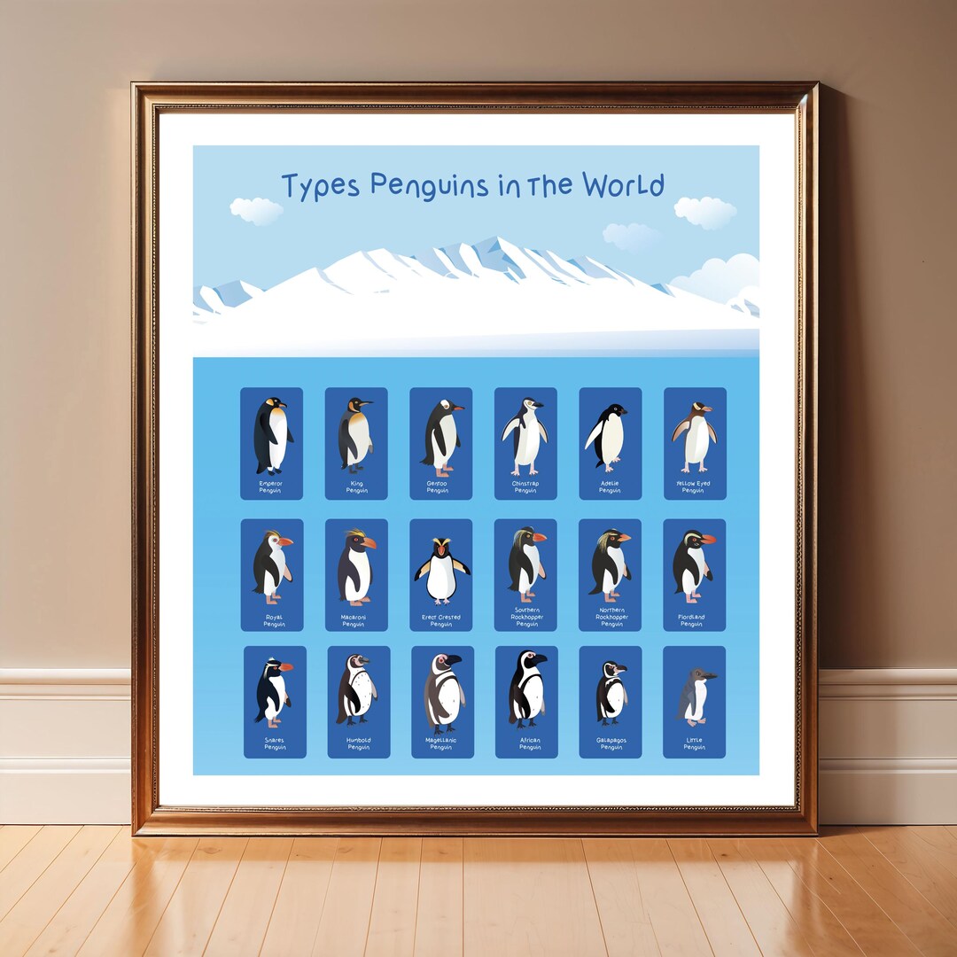 Types Penguins in the World, World Penguins - Etsy