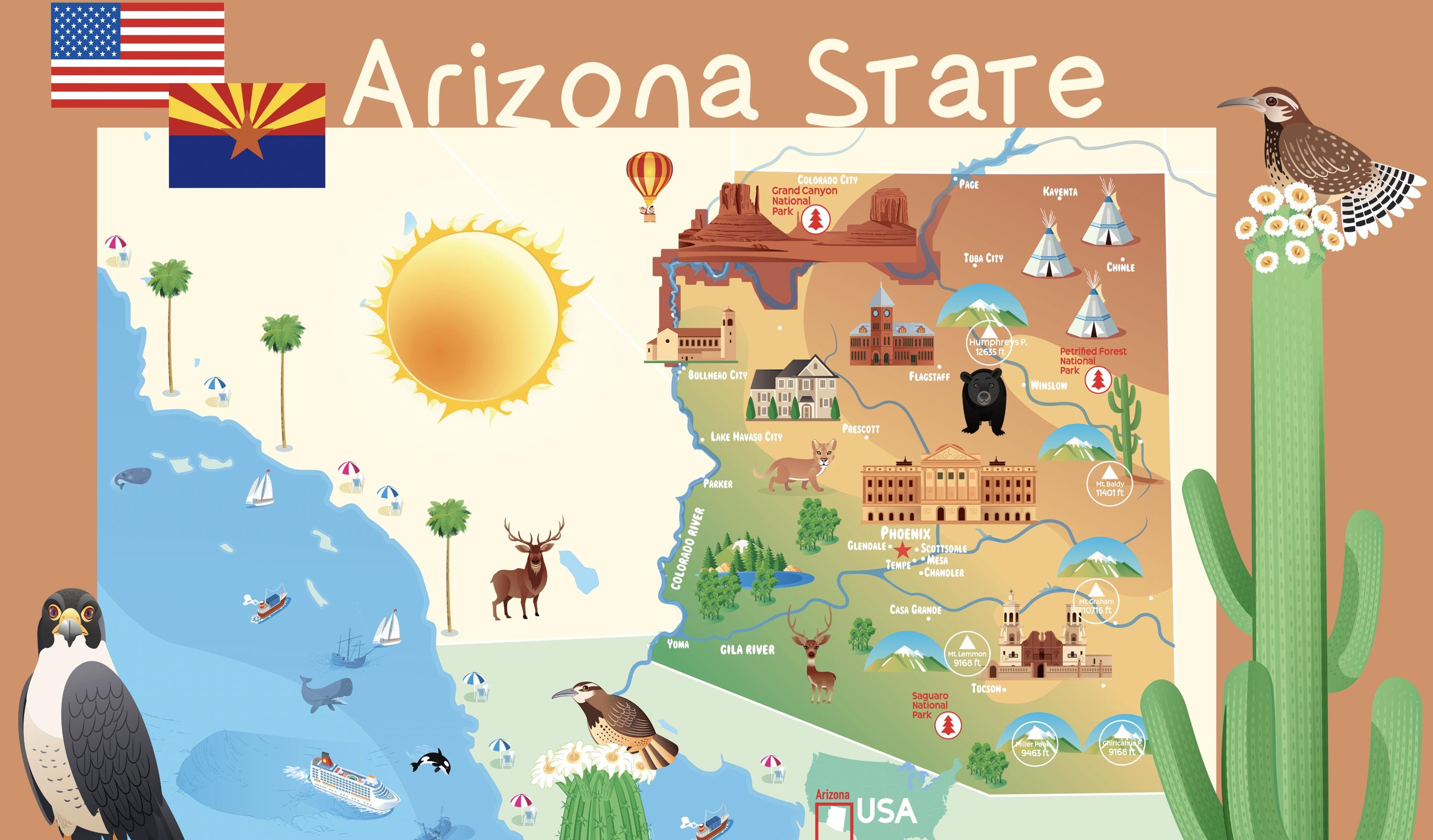 Arizona State Cartoon Map – Educational Kids Poster (digital Download ...