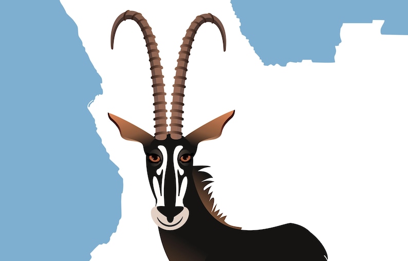 Angola Map Poster - Etsy