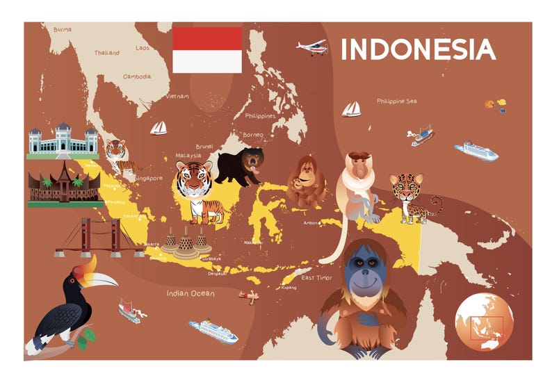 Indonesia Cartoon Map | Educational Travel Art (digital Download) - Etsy
