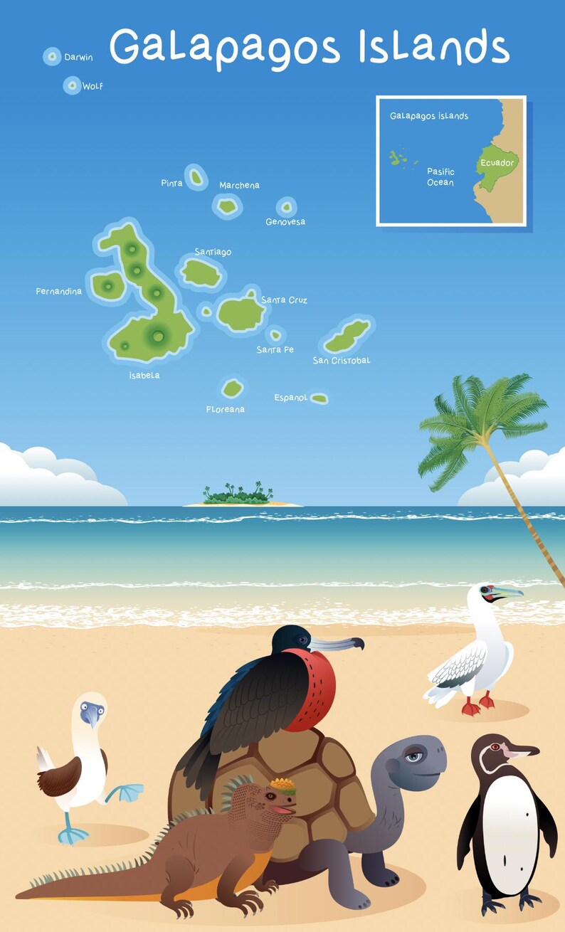 Galapagos Islands Animal Map Poster | Educational Wildlife Art (digital ...