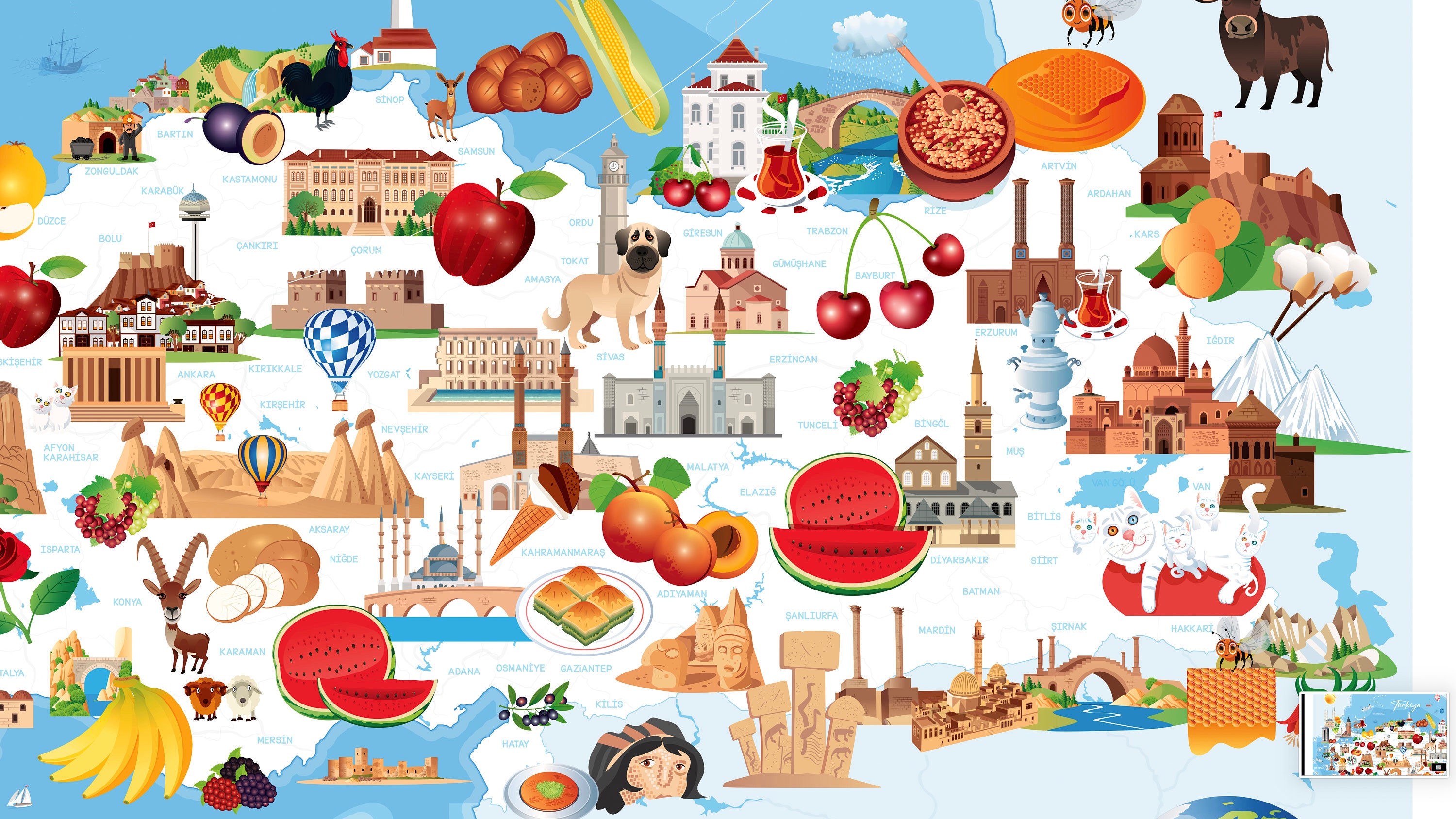 Turkey Cartoon Map Poster Jigsaw Puzzle, Istanbul Cartoon Map Poster ...