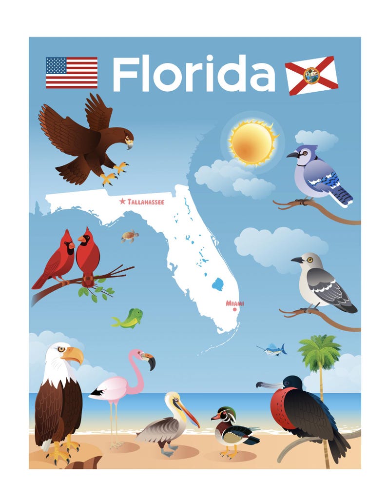 Florida Map Poster | Educational Travel Art (digital Download) - Etsy