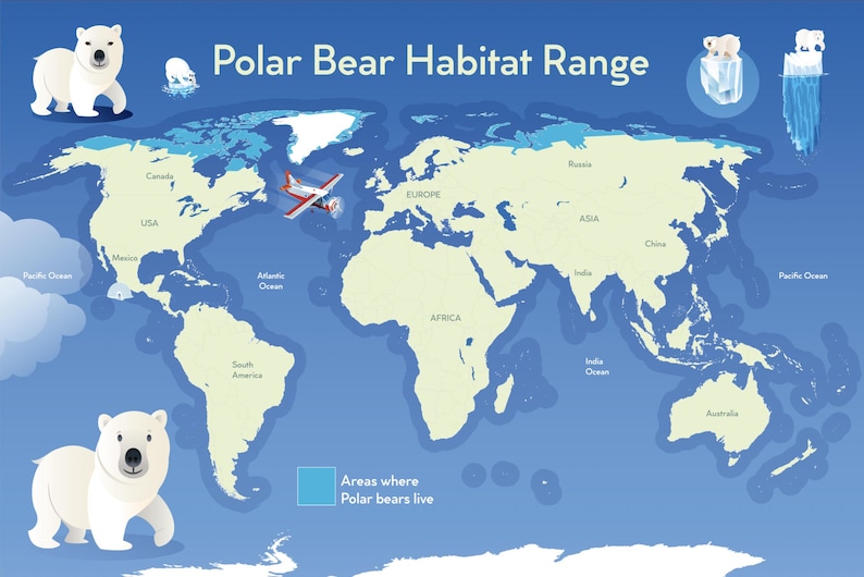 Polar Bear Habitat Range Map: Educational Wildlife Poster (digital ...