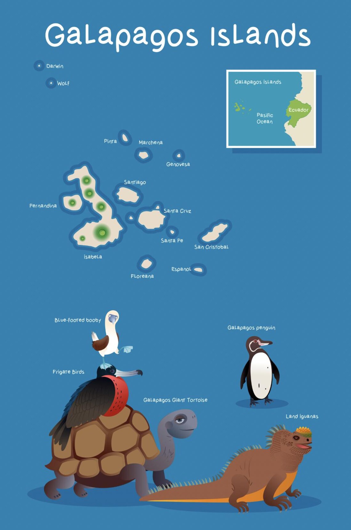 Galapagos Islands Animal Map Poster | Educational Wildlife Art (digital ...
