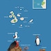 Galapagos Islands Animal Map Poster | Educational Wildlife Art (digital ...