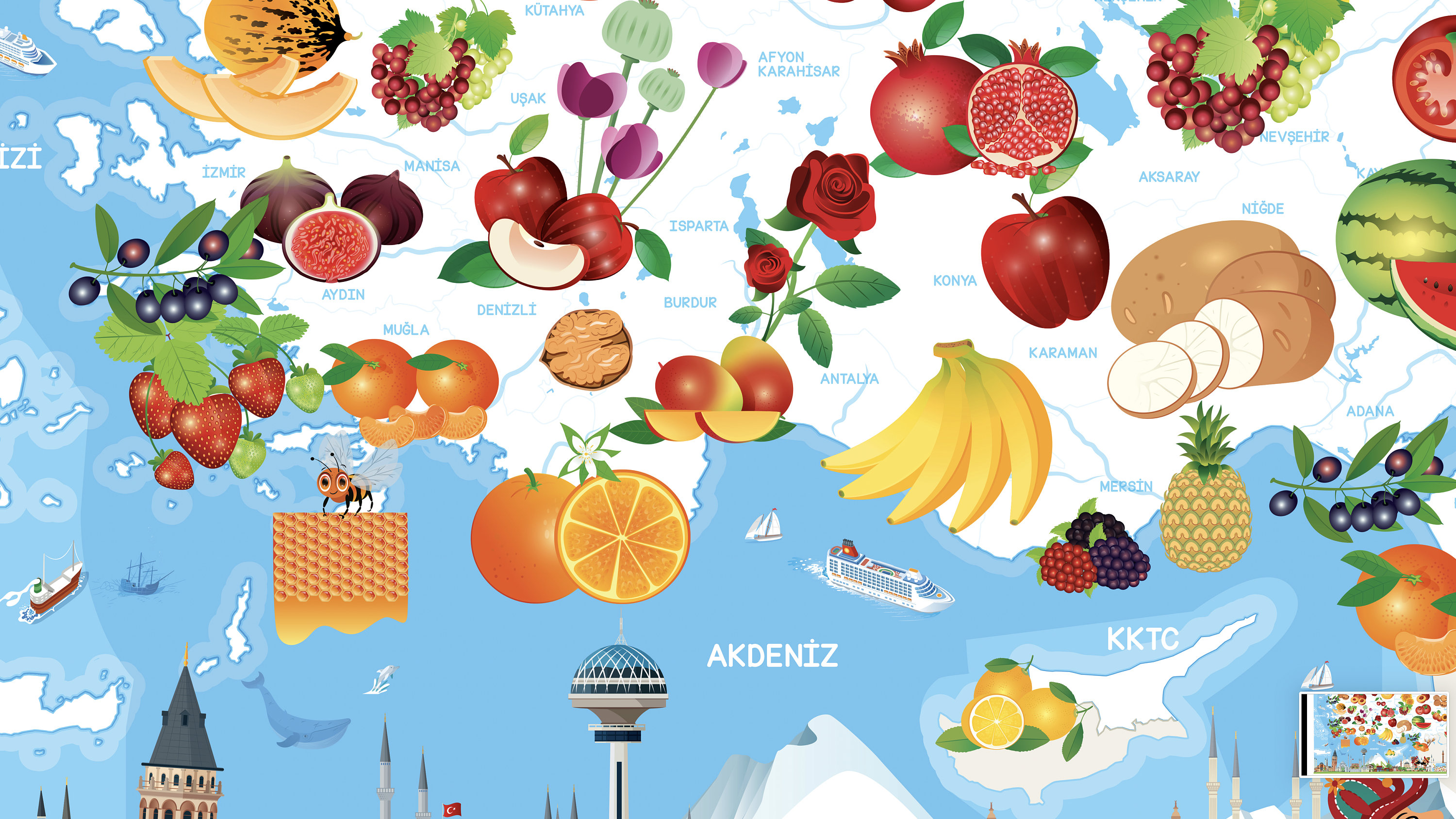 Turkiye Cartoon Map Poster, Istanbul Cartoon Map Poster, Anatolia ...