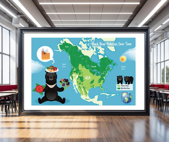 Black Bear Global