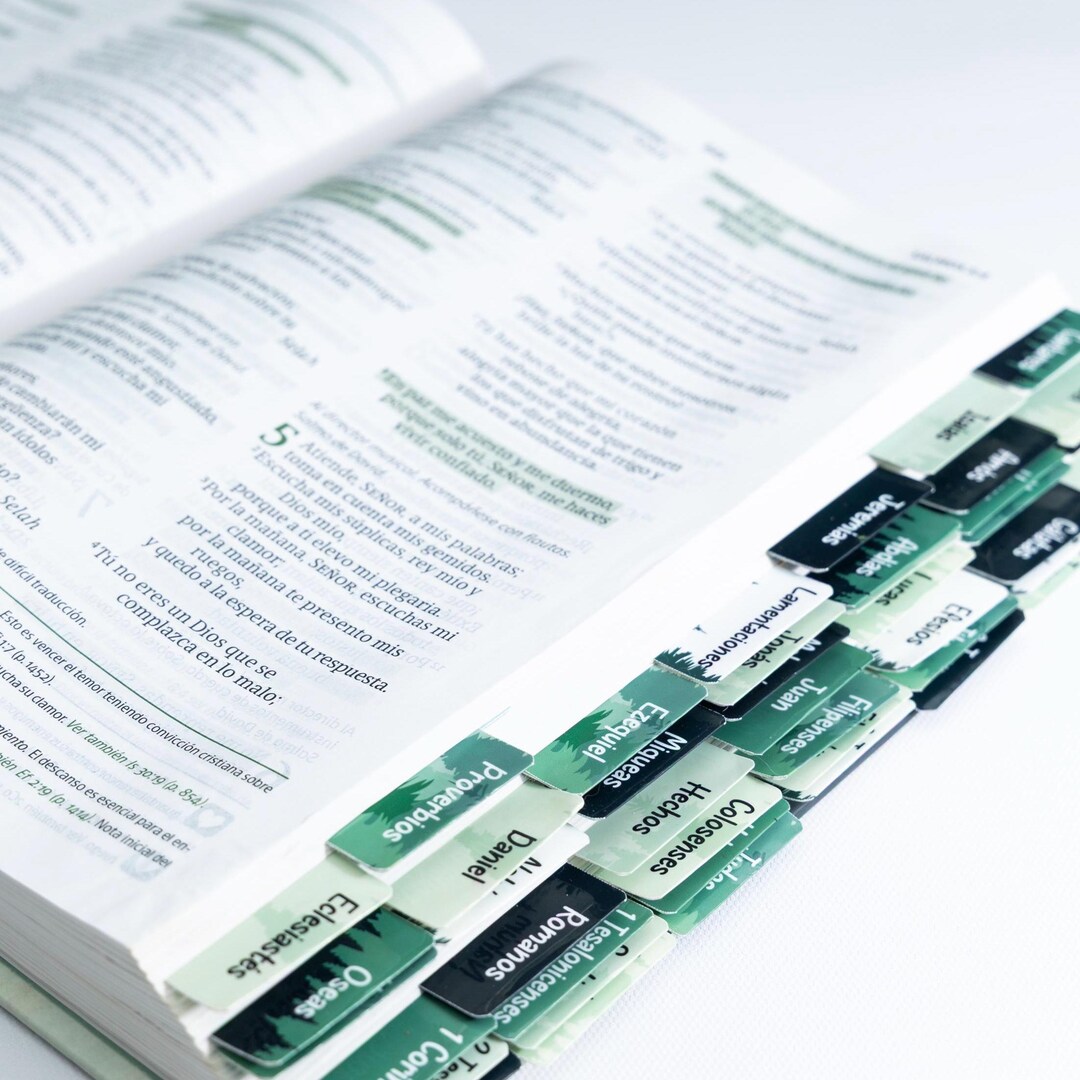 Bible Tabs – Green Forest | English-spanish | 66 Books + Extras | Easy ...