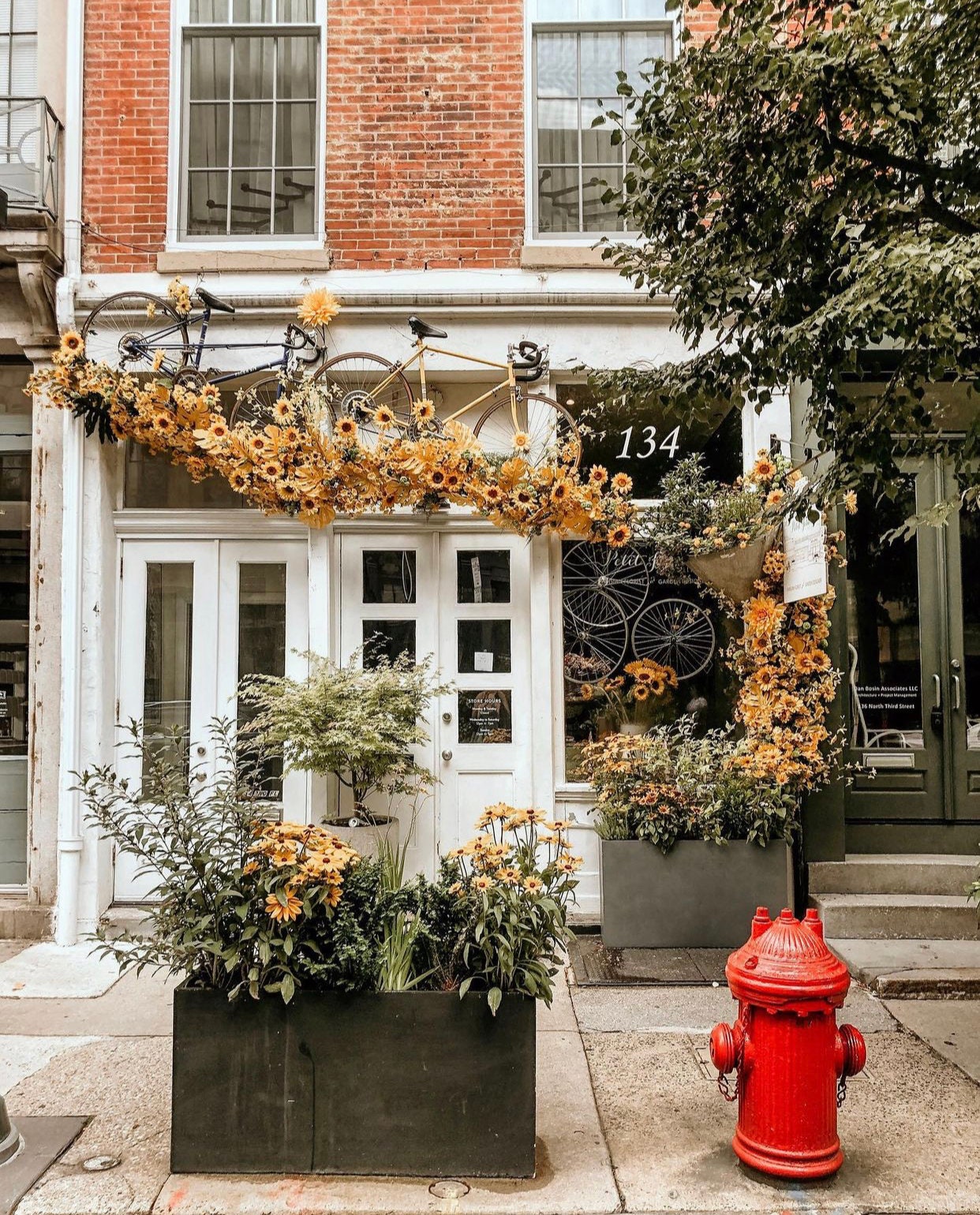 3rd Street Sunflower Flower Shop Philadelphia Wall Print - Etsy