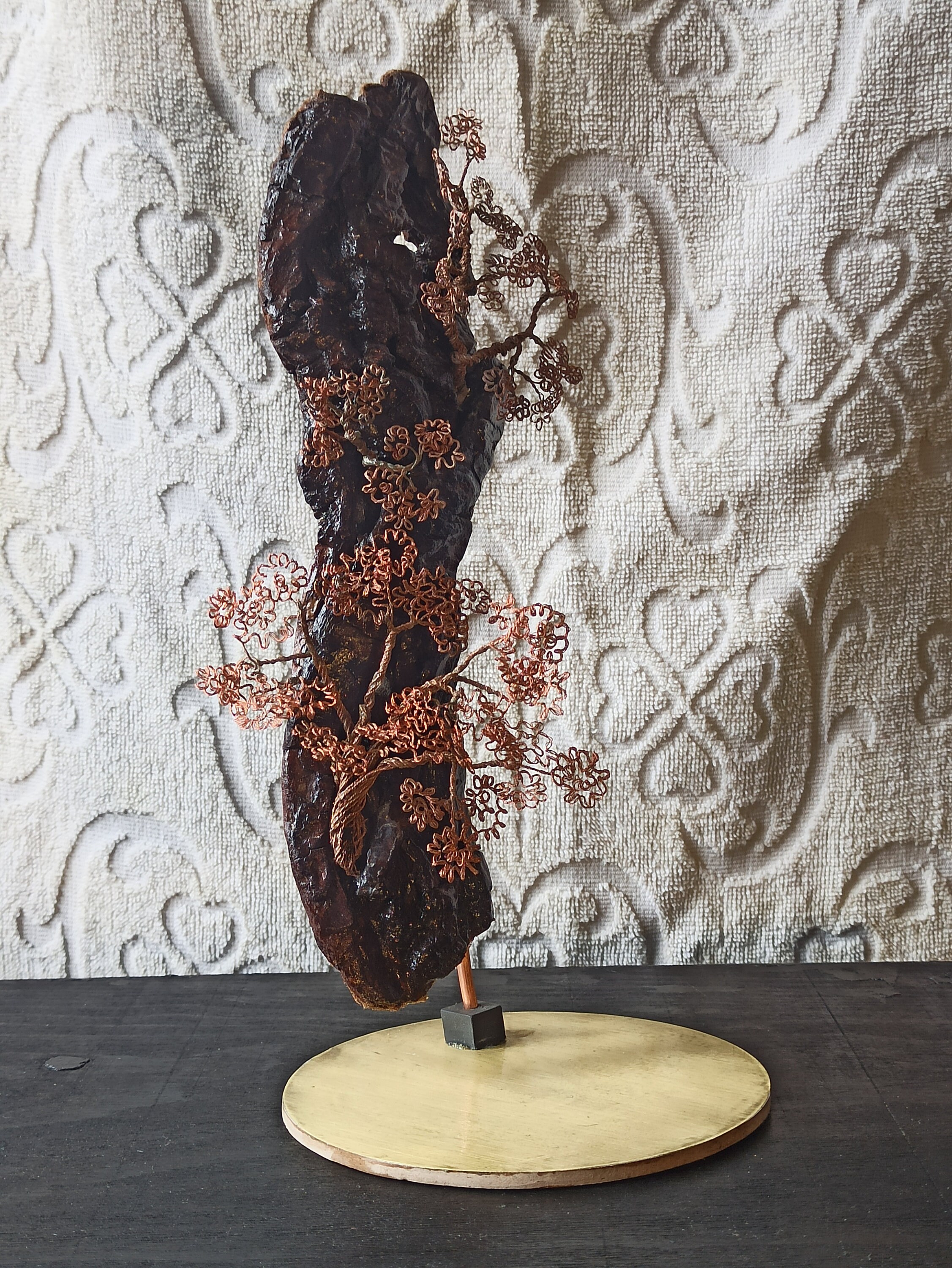 I Found This Shell on the Black Sea Coast. After Cleaning. I Decorated ...