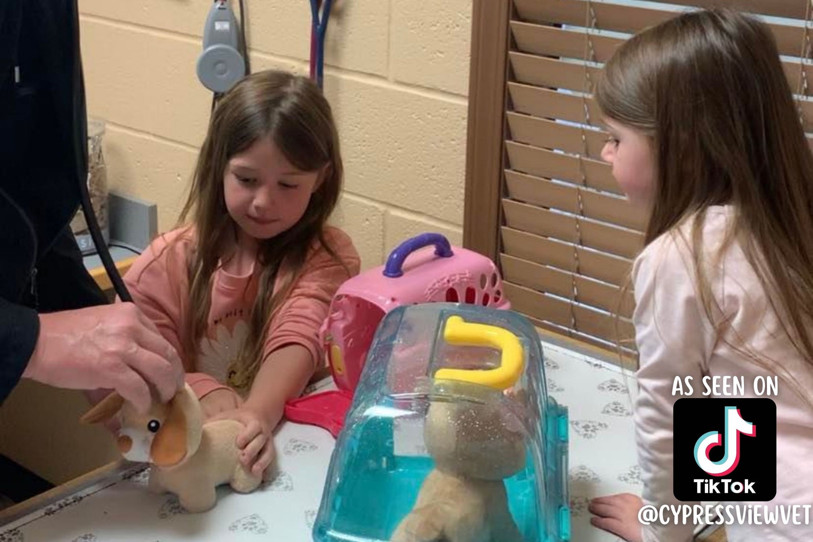 Stuffed Animal Vet Clinic Form Veterinary Event Childrens Play Birthday ...