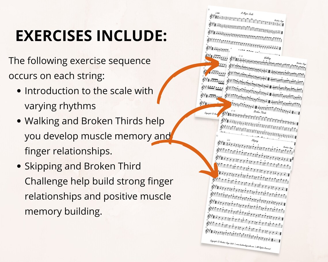 Violin Scales for the Beginning Violinist - Etsy