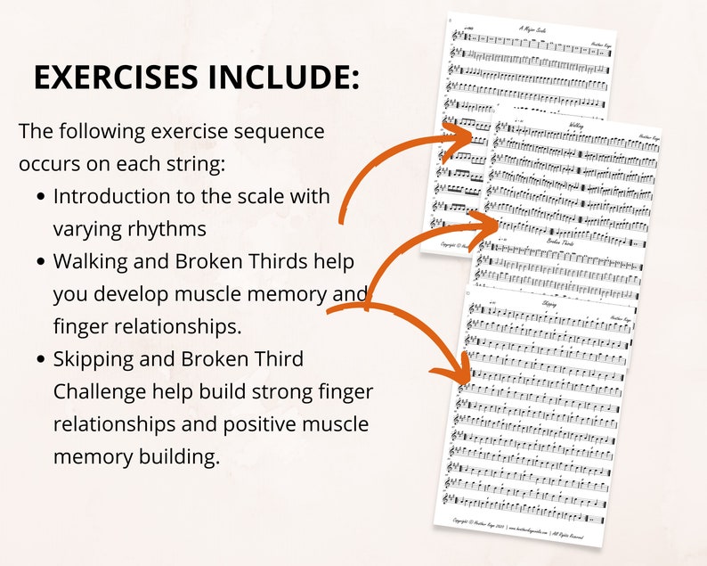 Violin Scales for the Beginning Violinist - Etsy