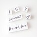 365 Countdown Blocks, Wedding Day Countdown Calendar, Bride to Be Gifts ...