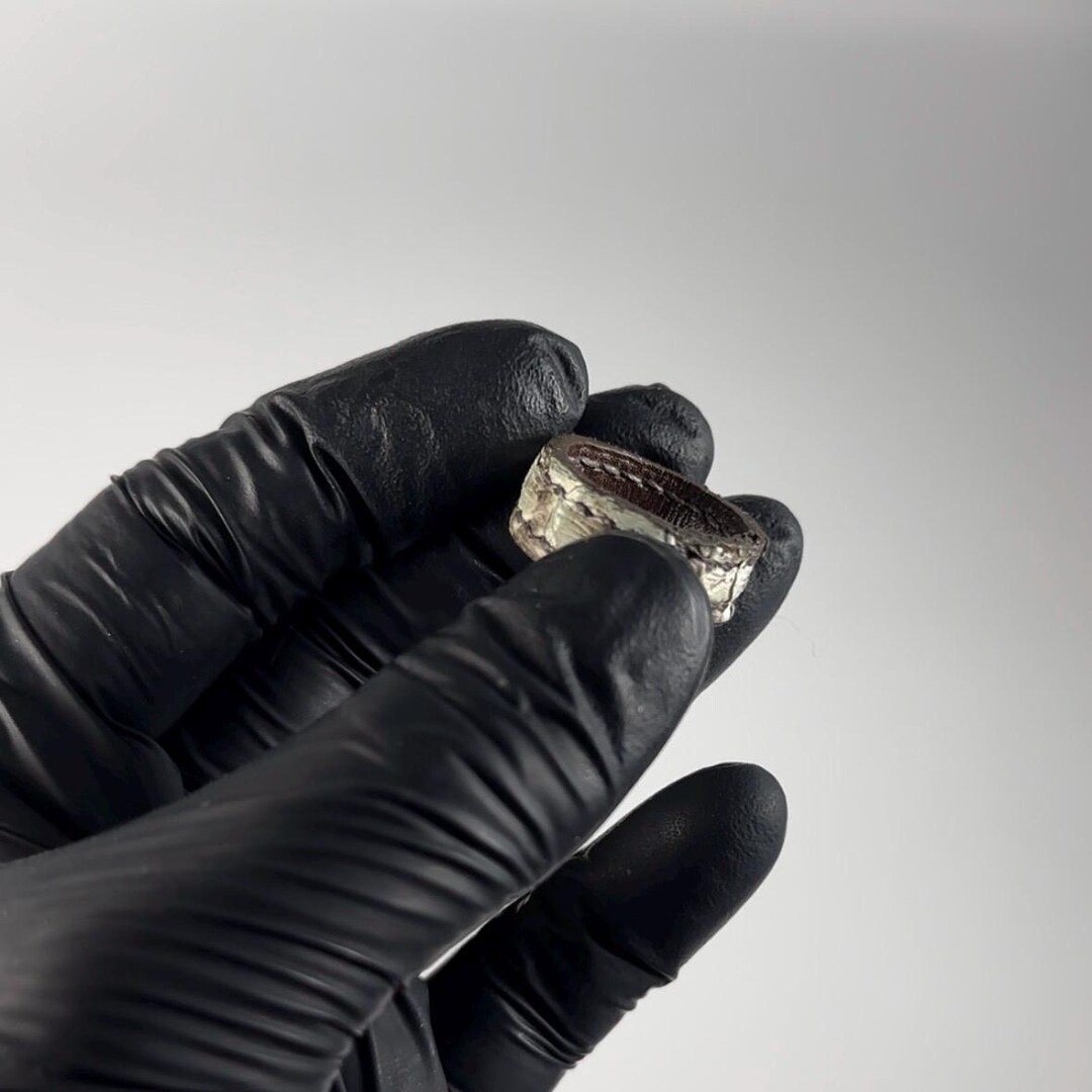 Everglades Python Ring, Custom Rings, Jewelry, Gifts for Him, Luxury ...