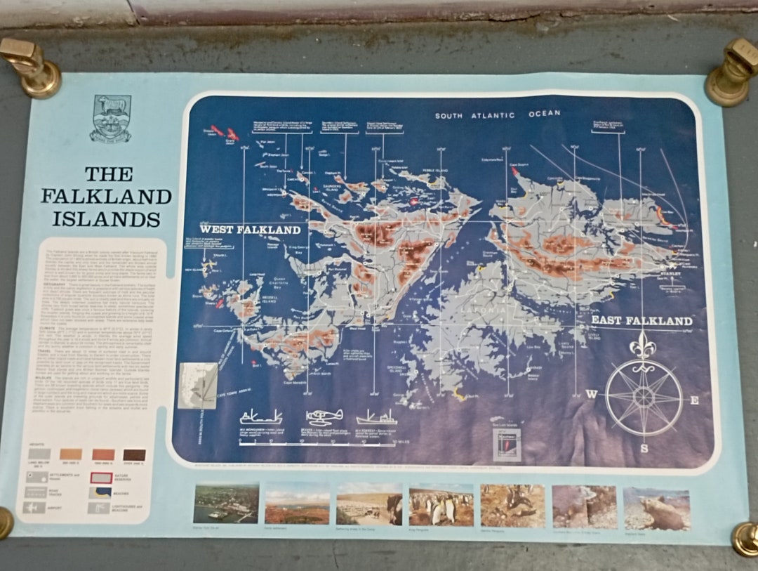 1981 Falkland Islands Wall Map Poster 30 X 20 Inches Vintage Wildlife ...