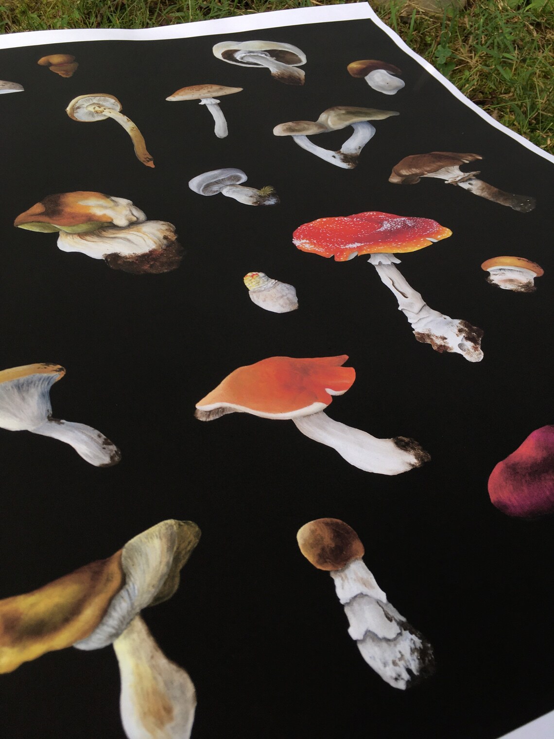 Mushroom Poster Goblincore Nature Posters Fungi - Etsy