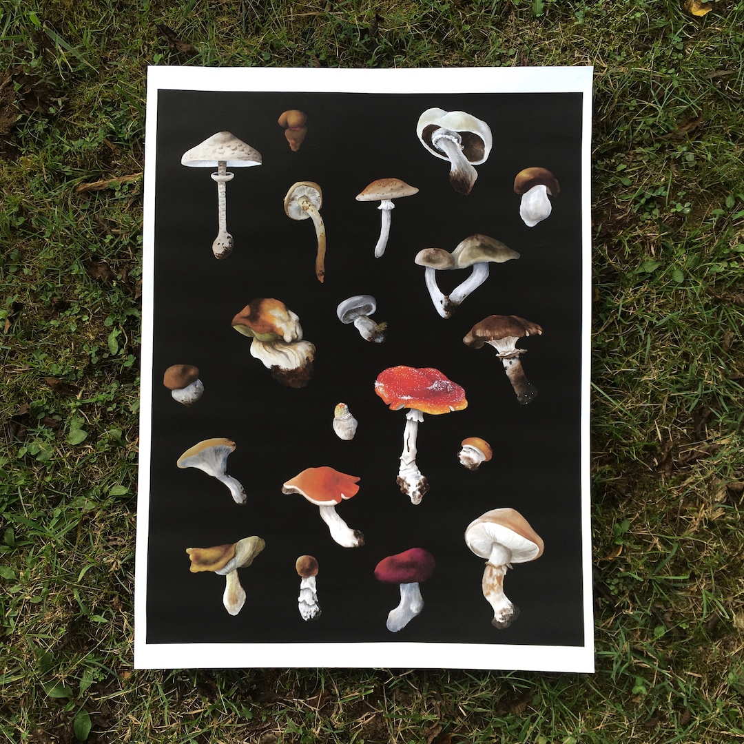 Mushroom Poster Goblincore Nature Posters Fungi Identification Art ...