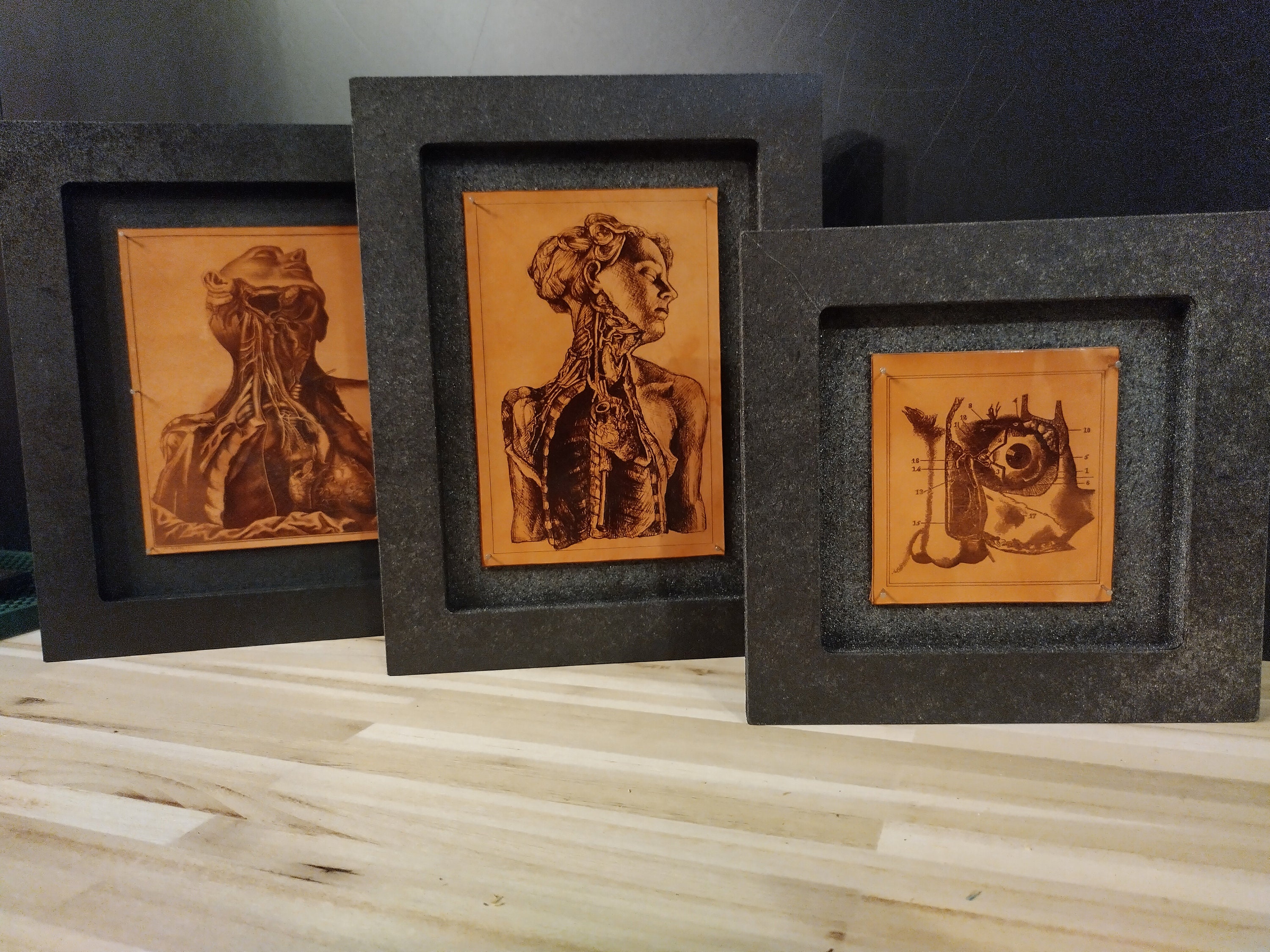 Male Chest Dissection Etched in Leather, Medical Anatomy Art - Etsy
