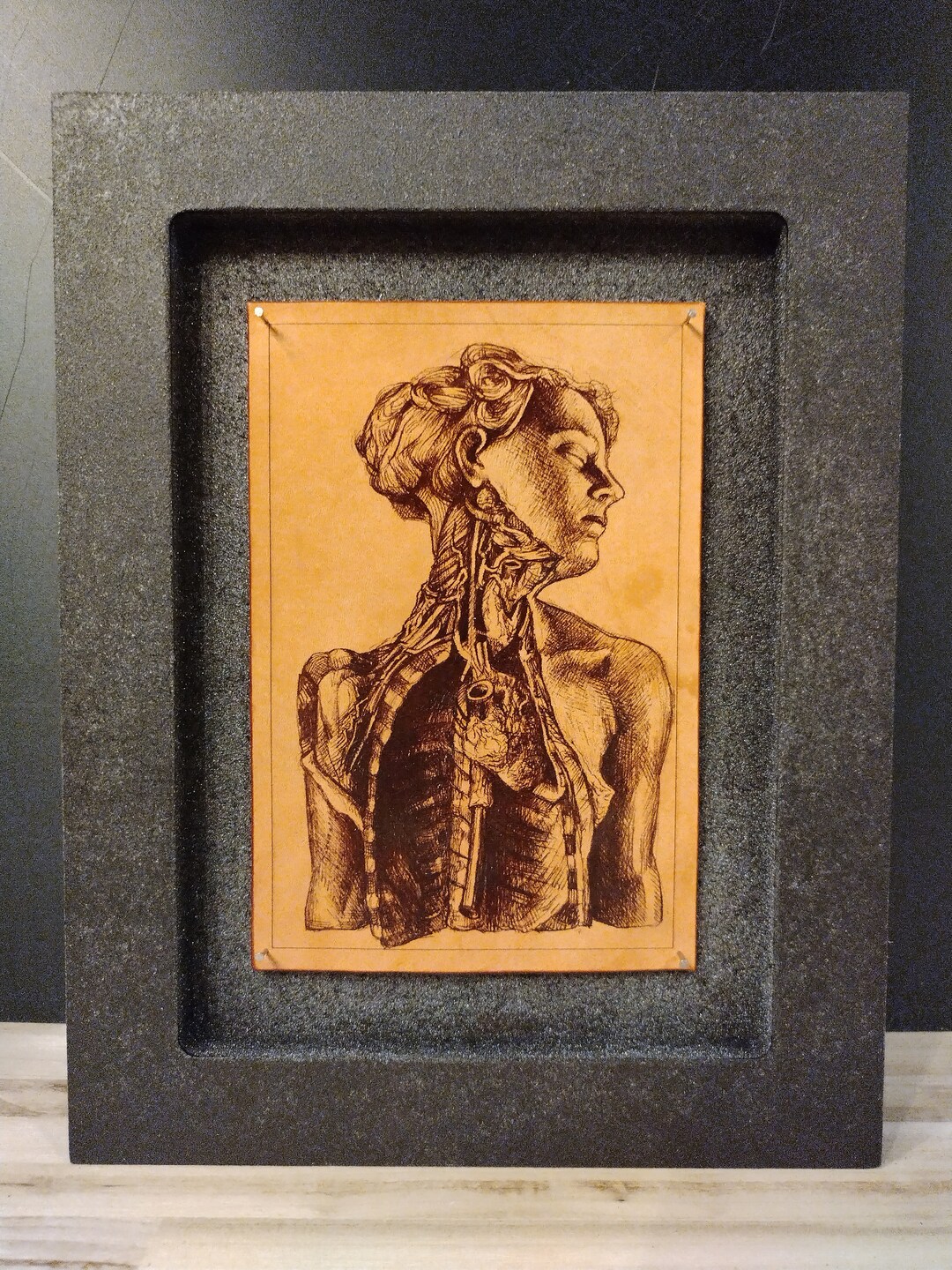 Vintage Female Chest Dissection on Leather, Medical Anatomy Art - Etsy