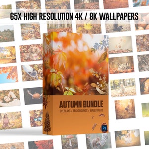 140 Autumn Bundle, PNG Overlays, Textures for Photo Editing, Leaves ...