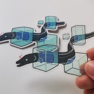 Eel - Clear Vinyl Sticker - Etsy