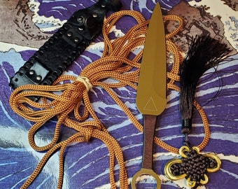 Sheng Biao Pro Level Rope Dart With Holding Sheath. 4 Meter Rose Red ...