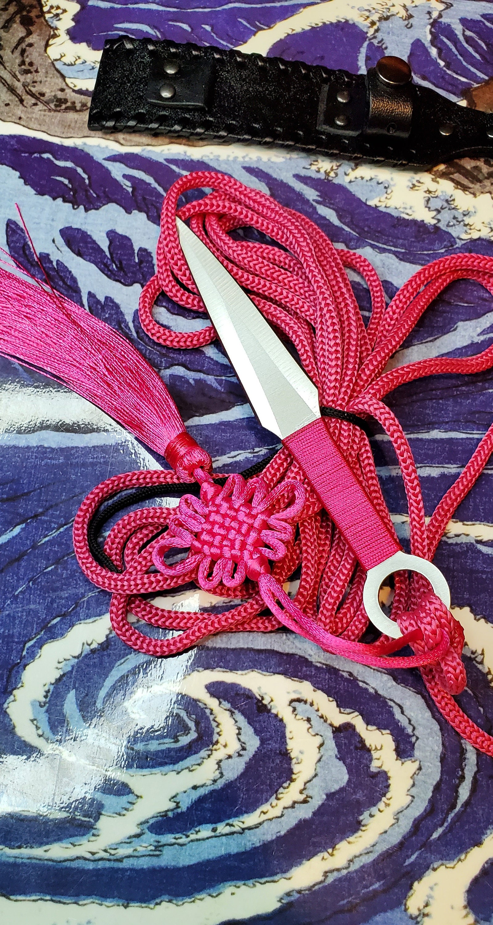 Sheng Biao Pro Level Rope Dart With Holding Sheath. 4 Meter - Etsy