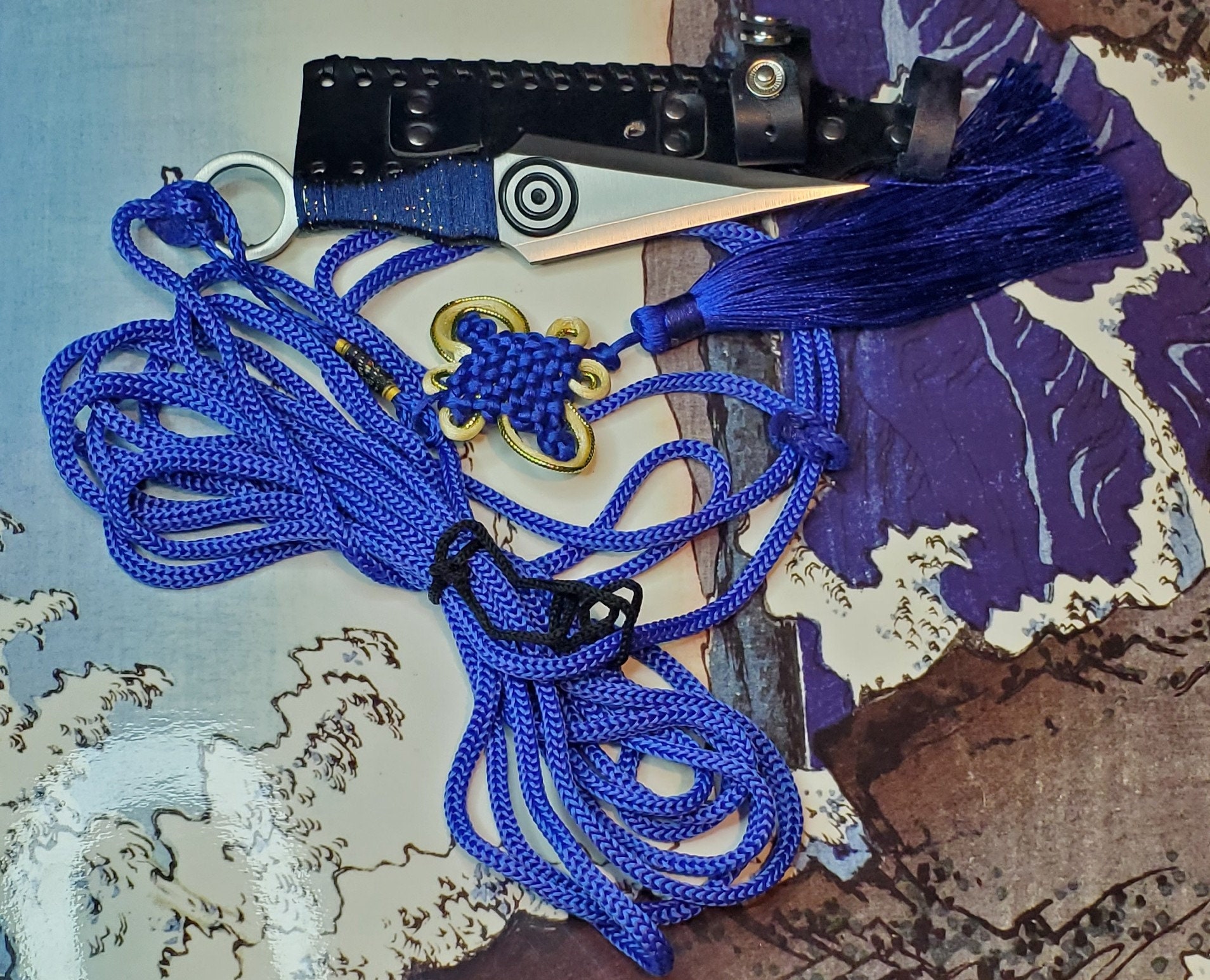 Sheng Biao Pro Level Rope Dart With Sheath. 4 Meter Blue Rope - Etsy