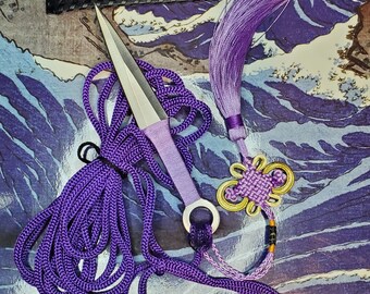 Sheng Biao Pro Level Rope Dart With Sheath. 4 Meter Red Rope With Black ...