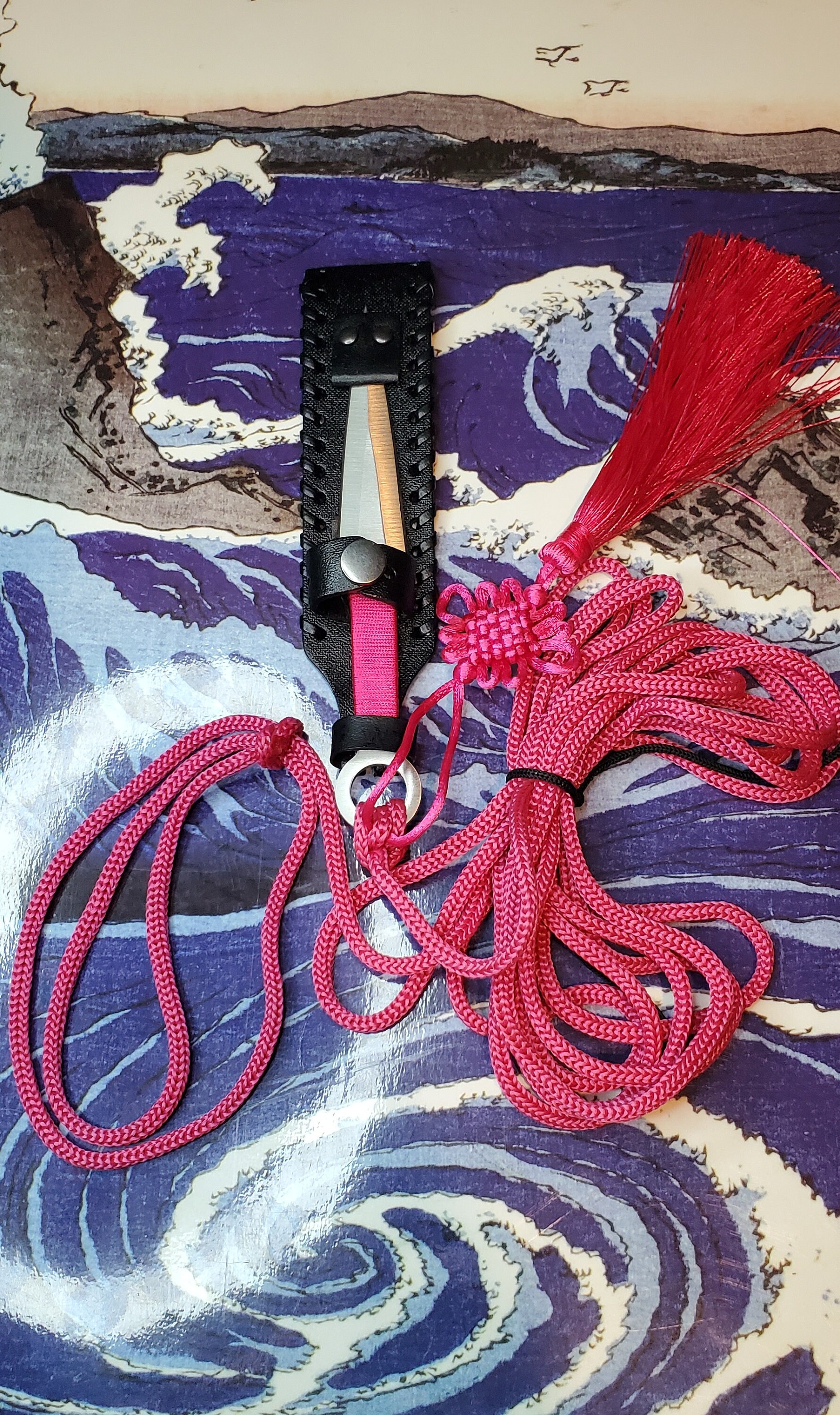 Sheng Biao Pro Level Rope Dart With Holding Sheath. 4 Meter - Etsy