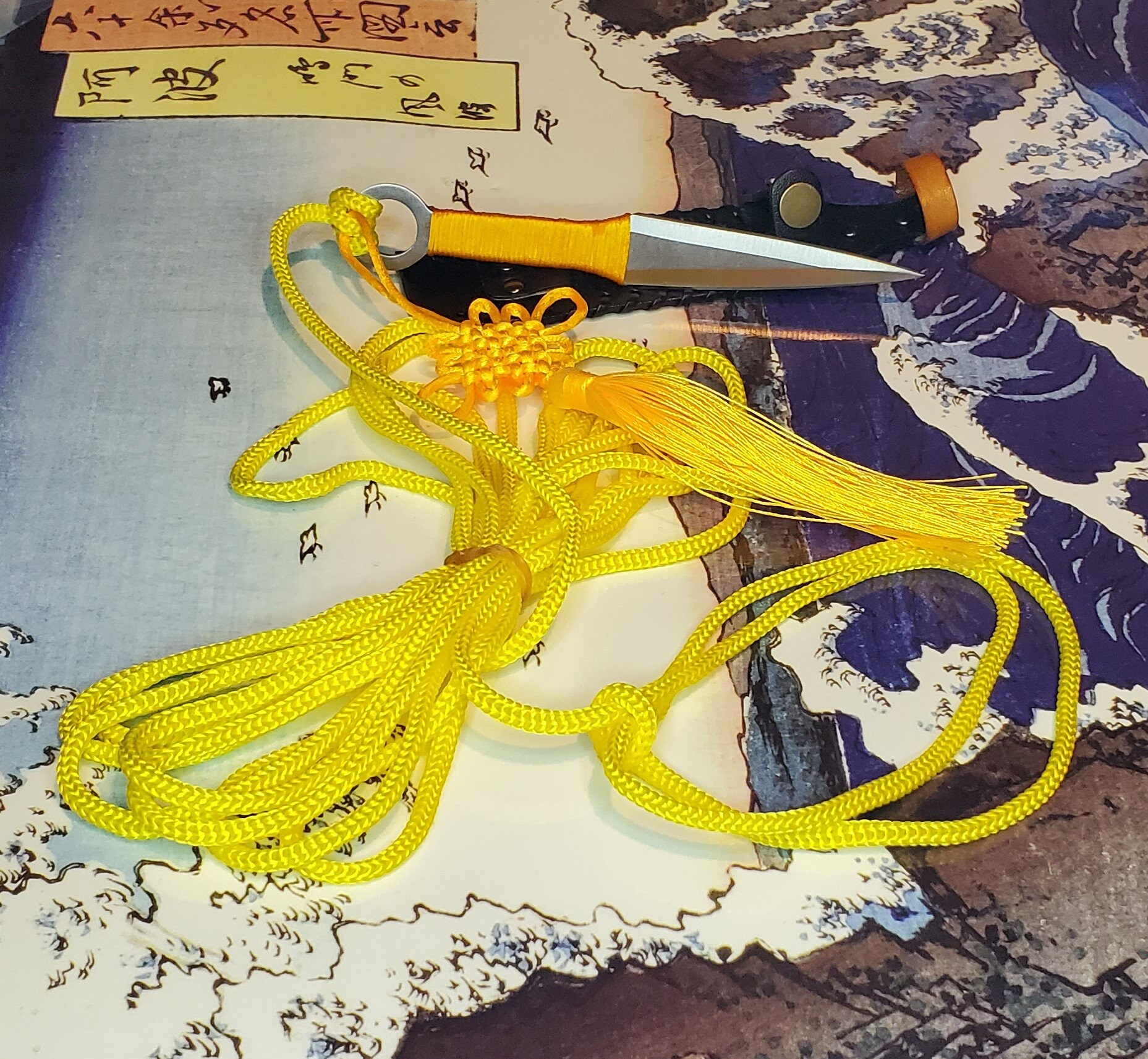 Sheng Biao Pro Level Rope Dart With Sheath. 4 Meter Lemon - Etsy