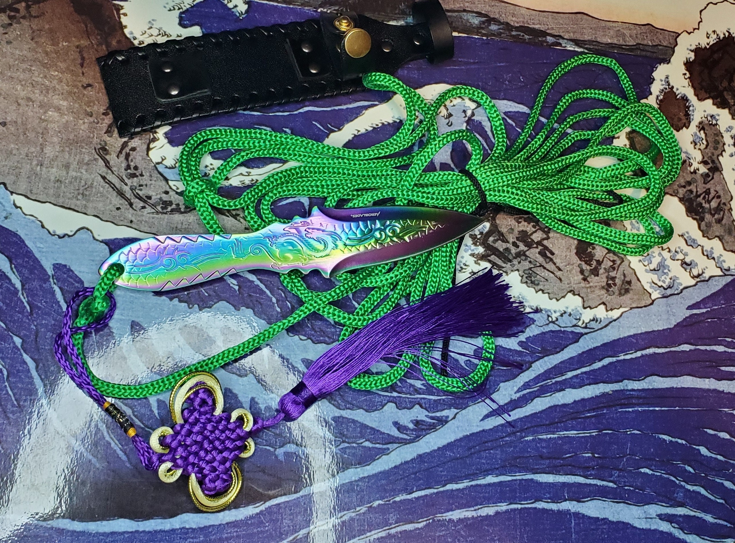 Sheng Biao Pro Level Rope Dart With Sheath. 5 Meter Green Rope With ...