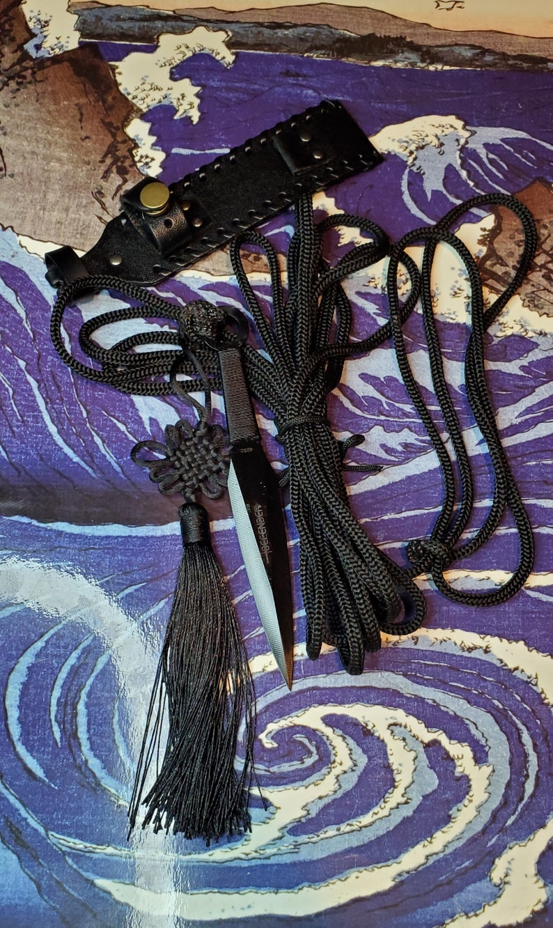 Sheng Biao Pro Level Rope Dart With Sheath. 4 Meter Black Rope | Etsy