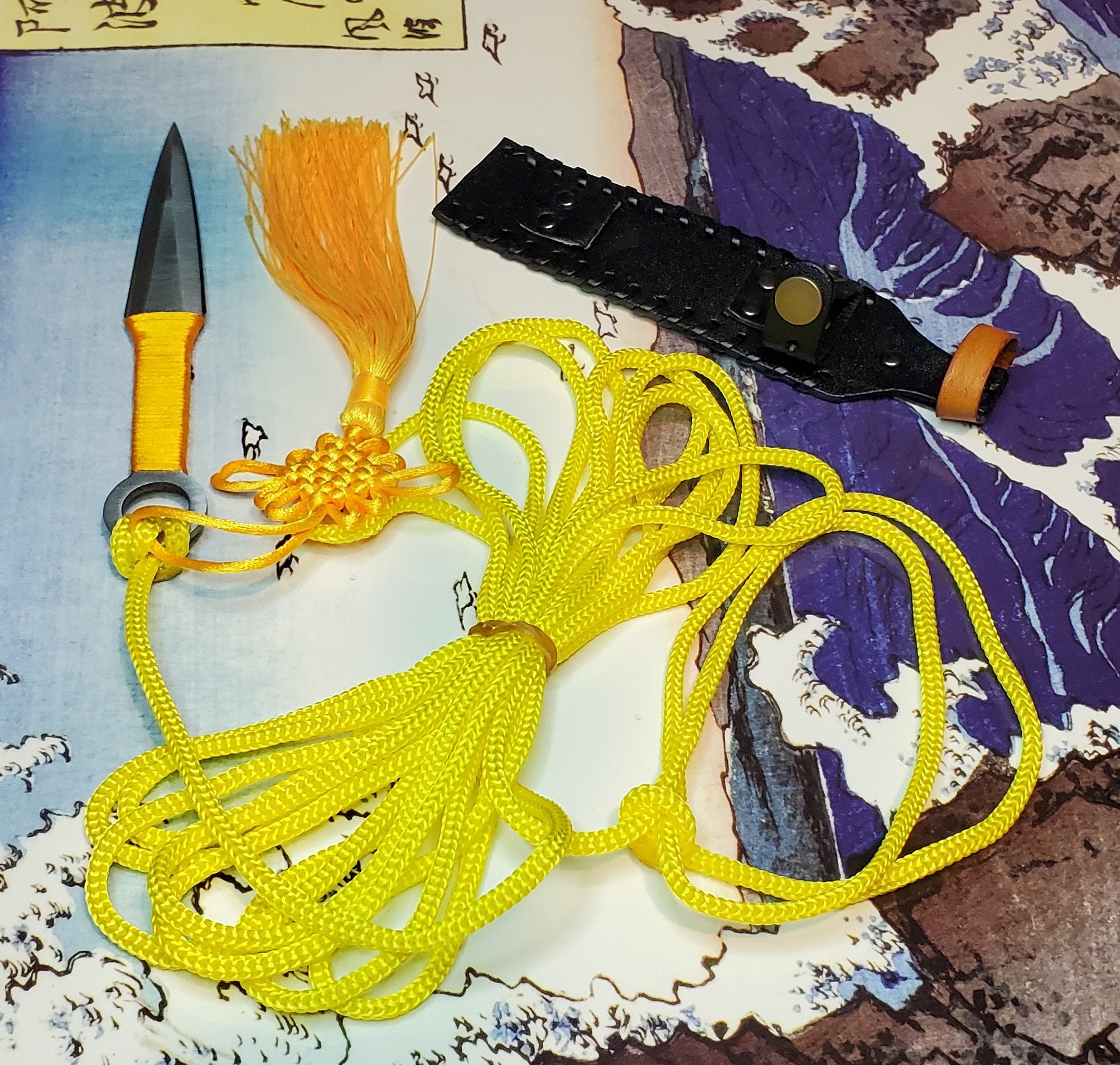 Sheng Biao Pro Level Rope Dart With Sheath. 4 Meter Lemon - Etsy