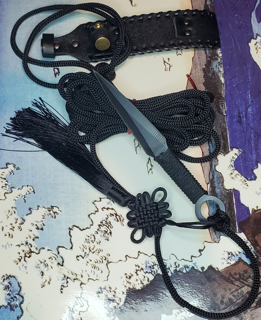 Sheng Biao Pro Level Rope Dart With Sheath. 4 Meter Black Rope With a ...