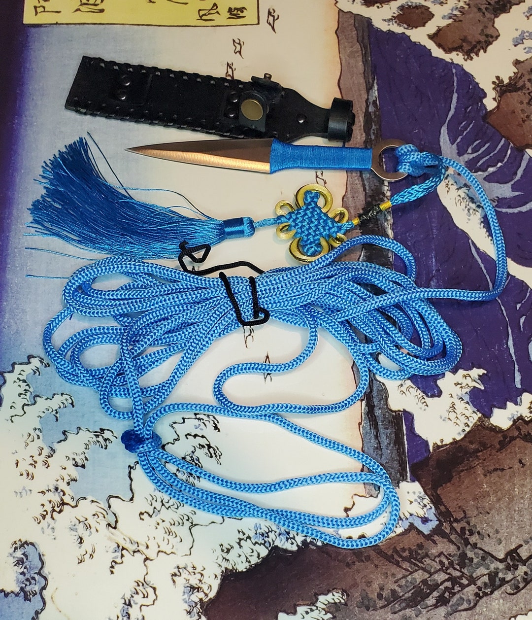 Sheng Biao Pro Level Rope Dart With Sheath. 4 Meter Light Blue - Etsy