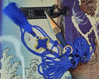 Sheng Biao Pro Level Rope Dart With Sheath. 4 Meter Red Rope With Black ...