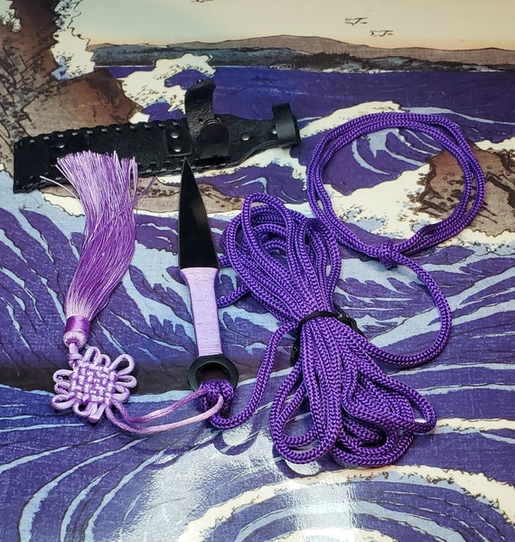 Sheng Biao Pro Level Rope Dart With Sheath. 4 Meter Purple | Etsy