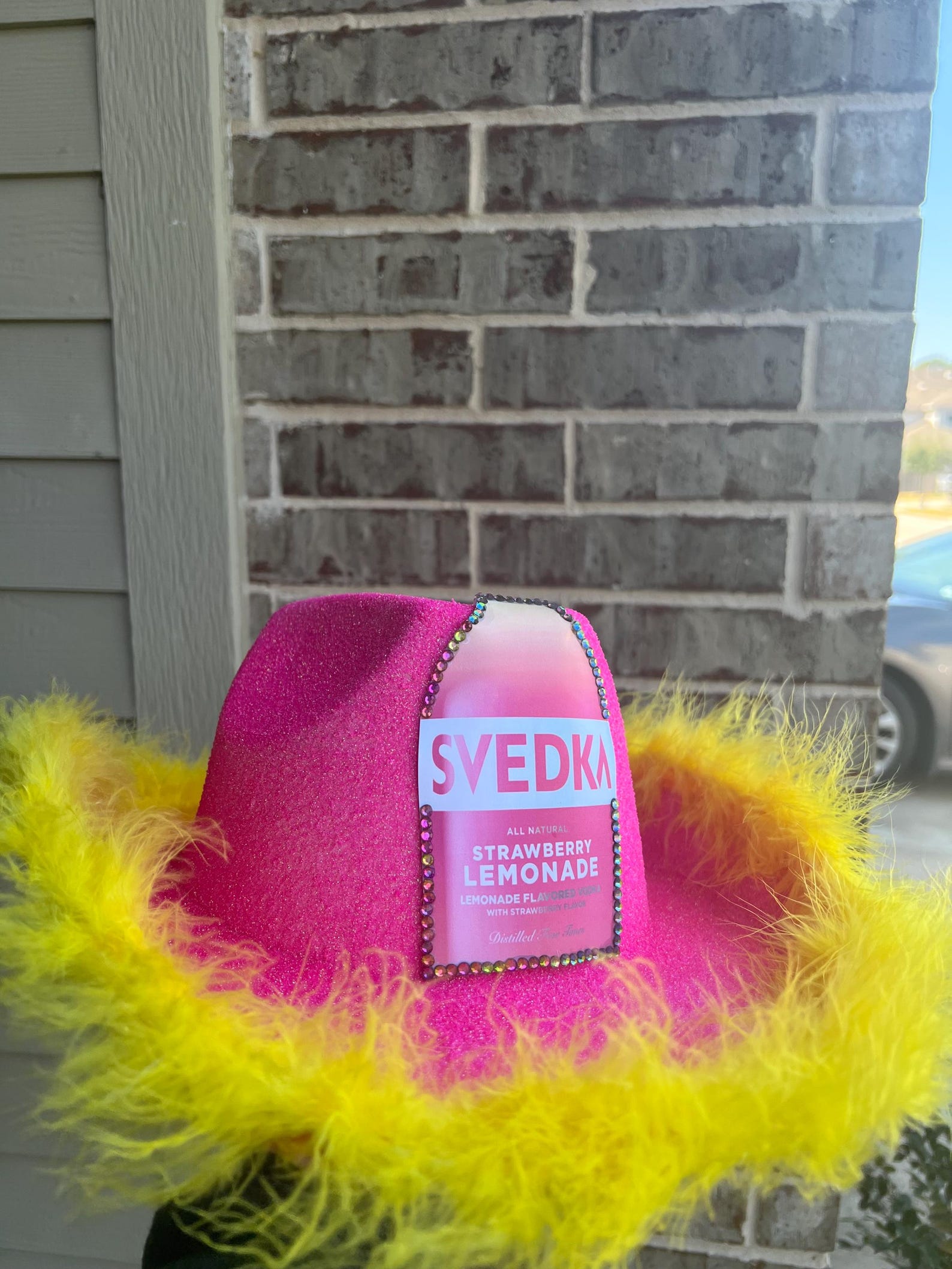 Svedka Strawberry Lemonade Sparkly Cowboy Hat - Etsy