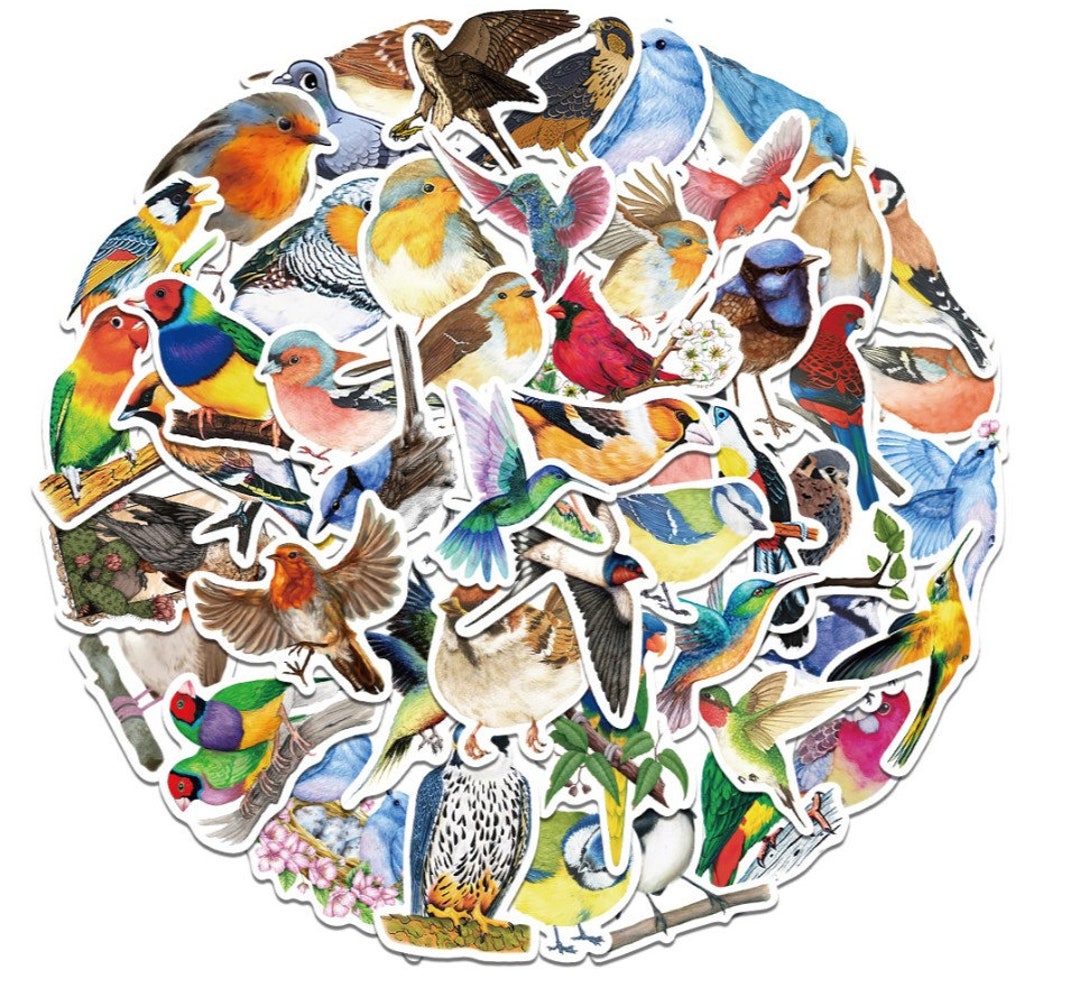 Set of 50pcs 110pcs Cartoon Bird Vinyl Stickers for Waterbottle,hydro ...