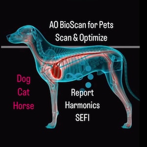 Pet AO Bio-scanner - Etsy