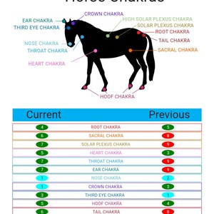 Pet AO Bio-scanner - Etsy