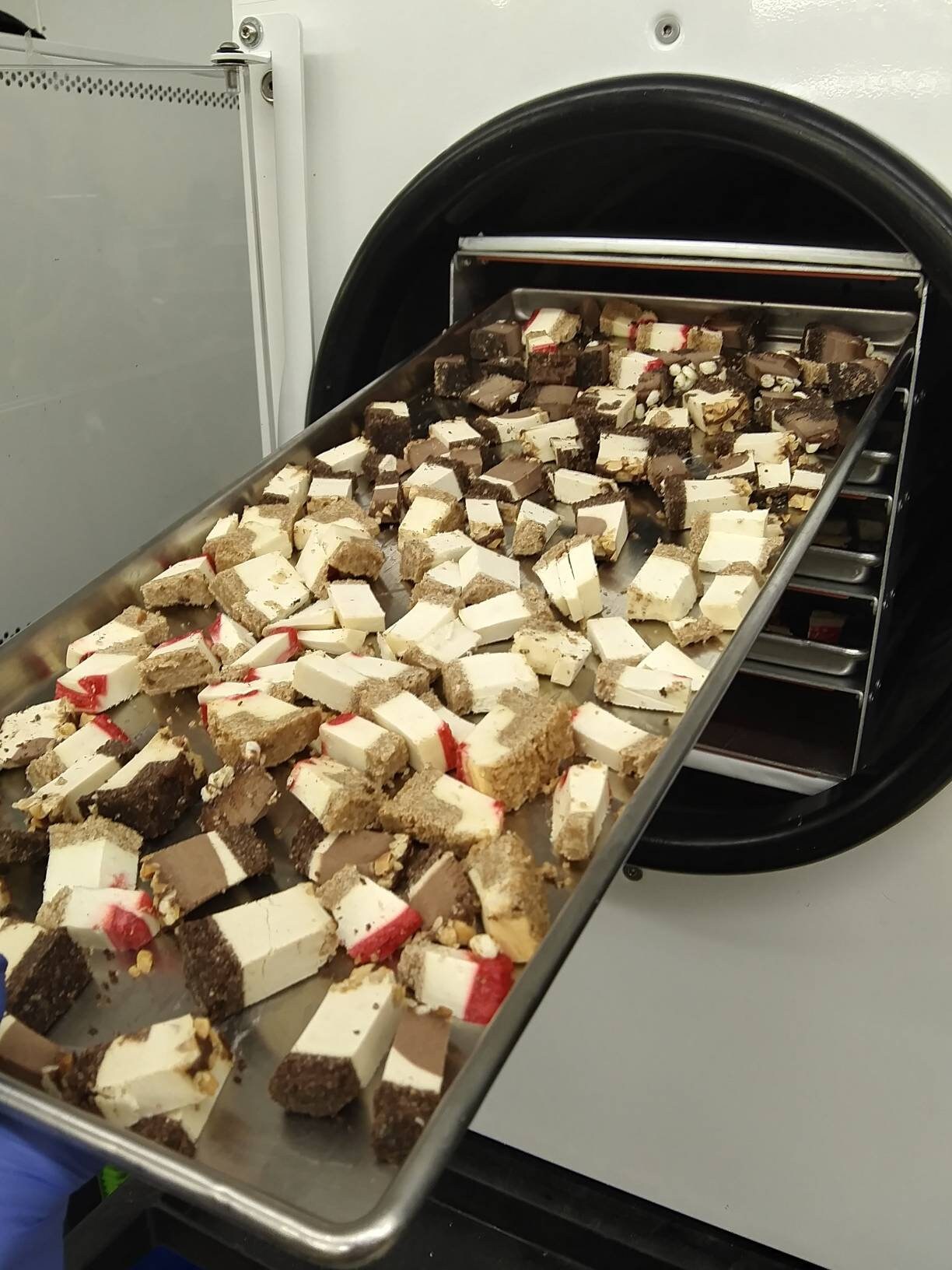 Freeze Dried Cheese Cake - Etsy