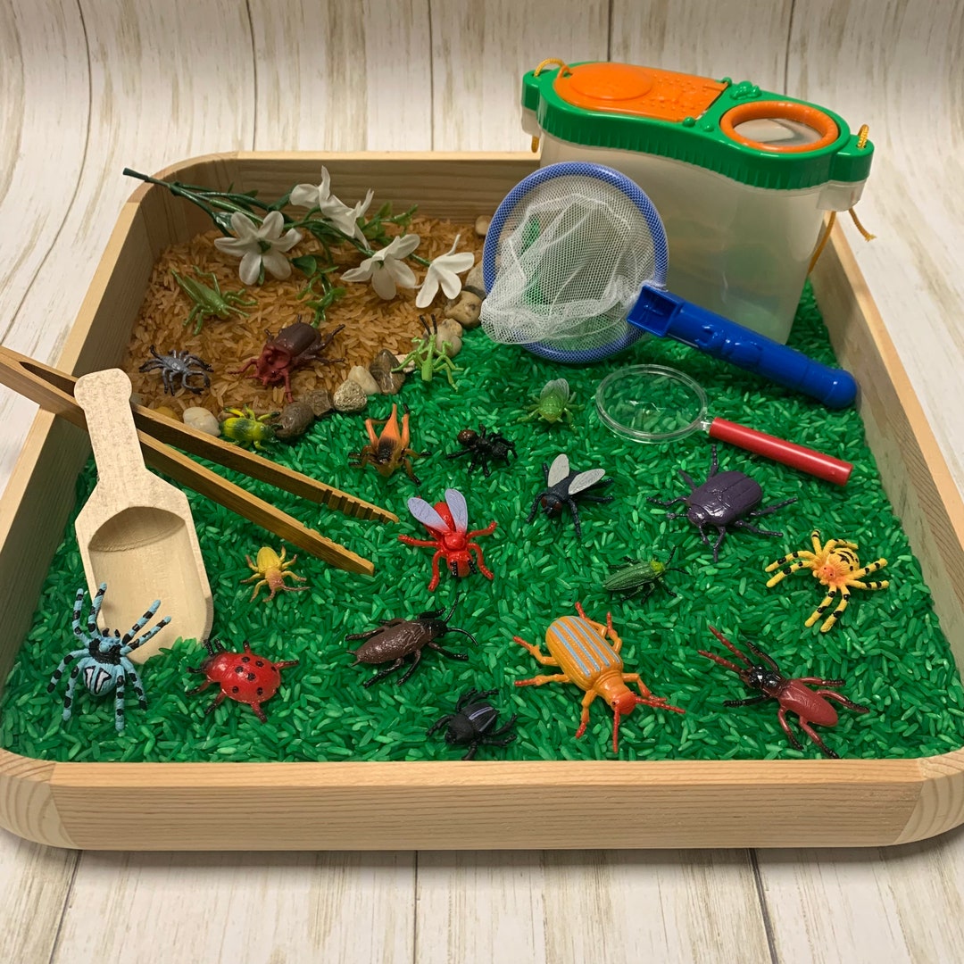 Bug Hunt Sensory Bin Featuring Insect Puzzle Cards | Insect Sensory Bin ...