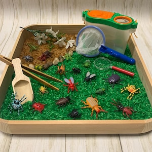 Bug Hunt Sensory Bin Featuring Insect Puzzle Cards | Insect Sensory Bin ...