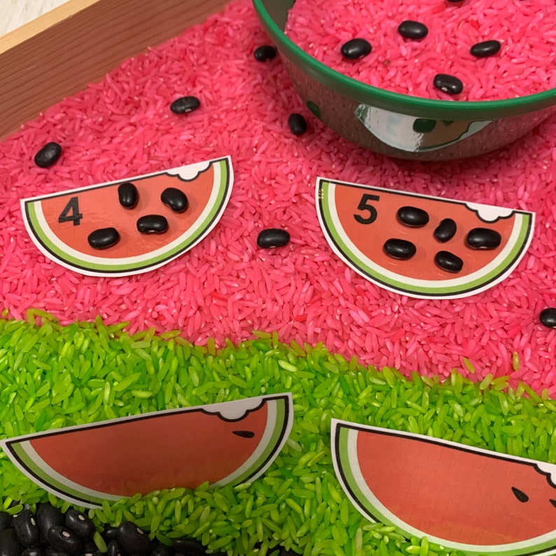 Summer Watermelon Sensory Bin Ft. Counting Activities - Etsy