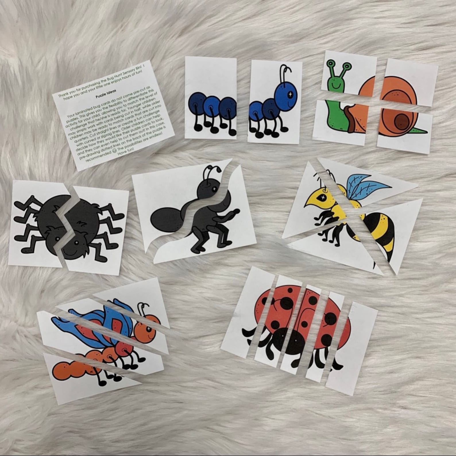 Bug Hunt Sensory Bin Featuring Insect Puzzle Cards | Insect Sensory Bin ...